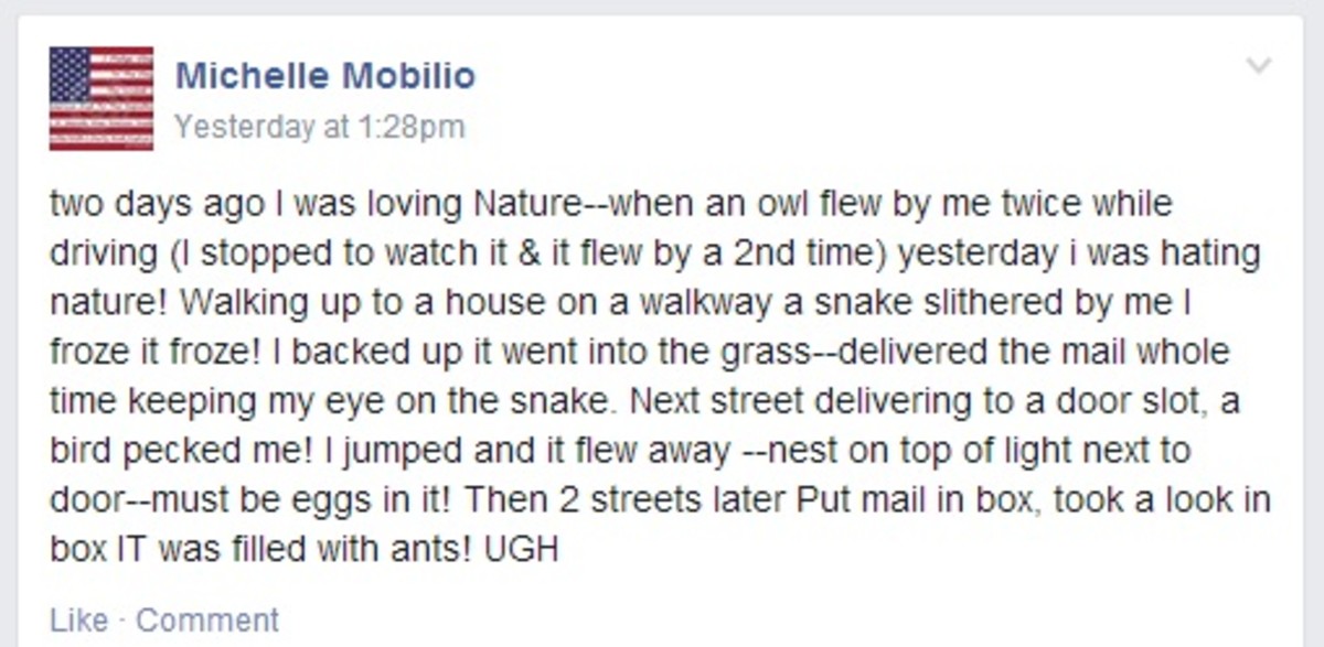 What's In Your Mailbox? - Mailbox Infestations and More - Part One ...