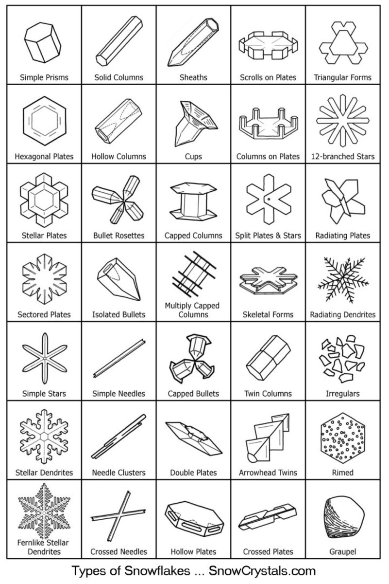 Facts About Snow: The Science and Beauty of Snowflake Diversity - HubPages