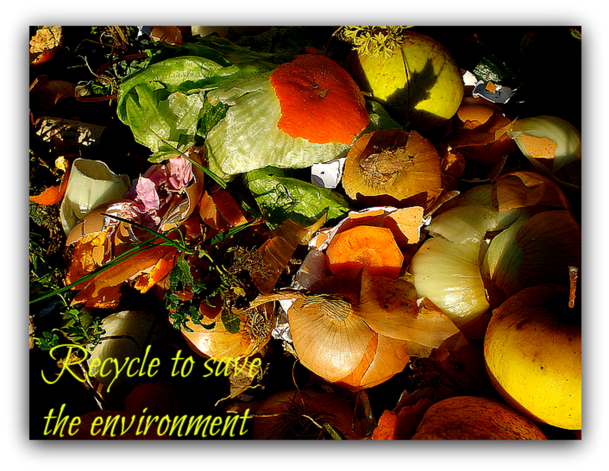 Garbage Enzyme - HubPages