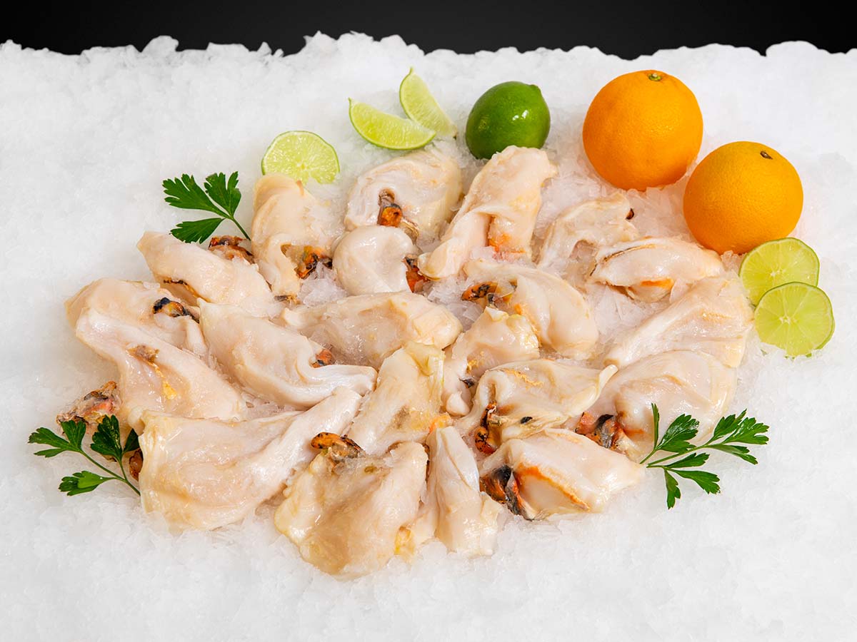 Island Conch Fritter Made Easy at Home - HubPages