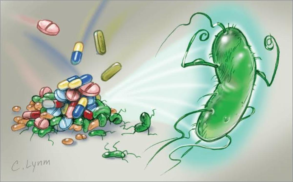 Apocalypse Of Antibiotics - HubPages