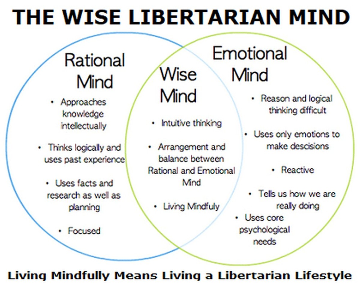 Non-Aggression: The Libertarian Holistic Lifestyle Principle - HubPages