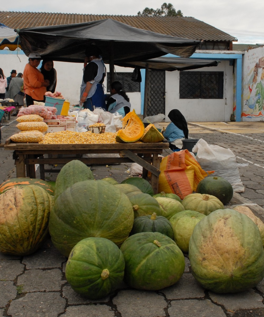 Must-Try Ecuador Favorite Foods - HubPages