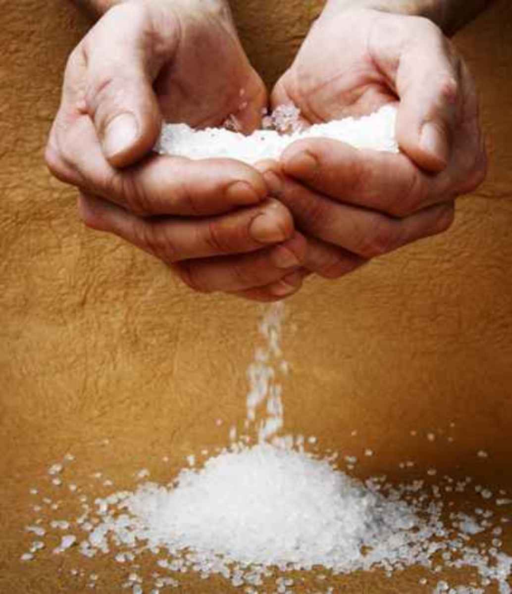Your Speech Be Seasoned With the Salt of Grace - HubPages