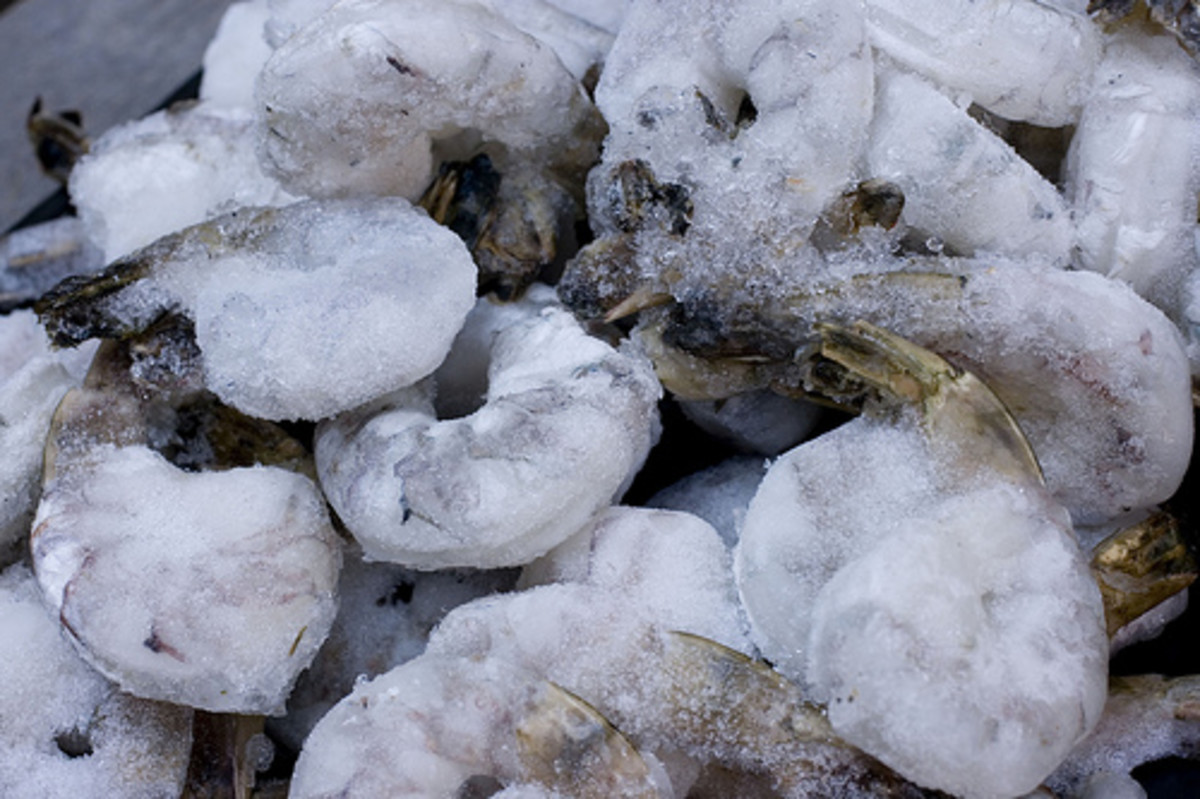 A Guide to Shrimp - HubPages