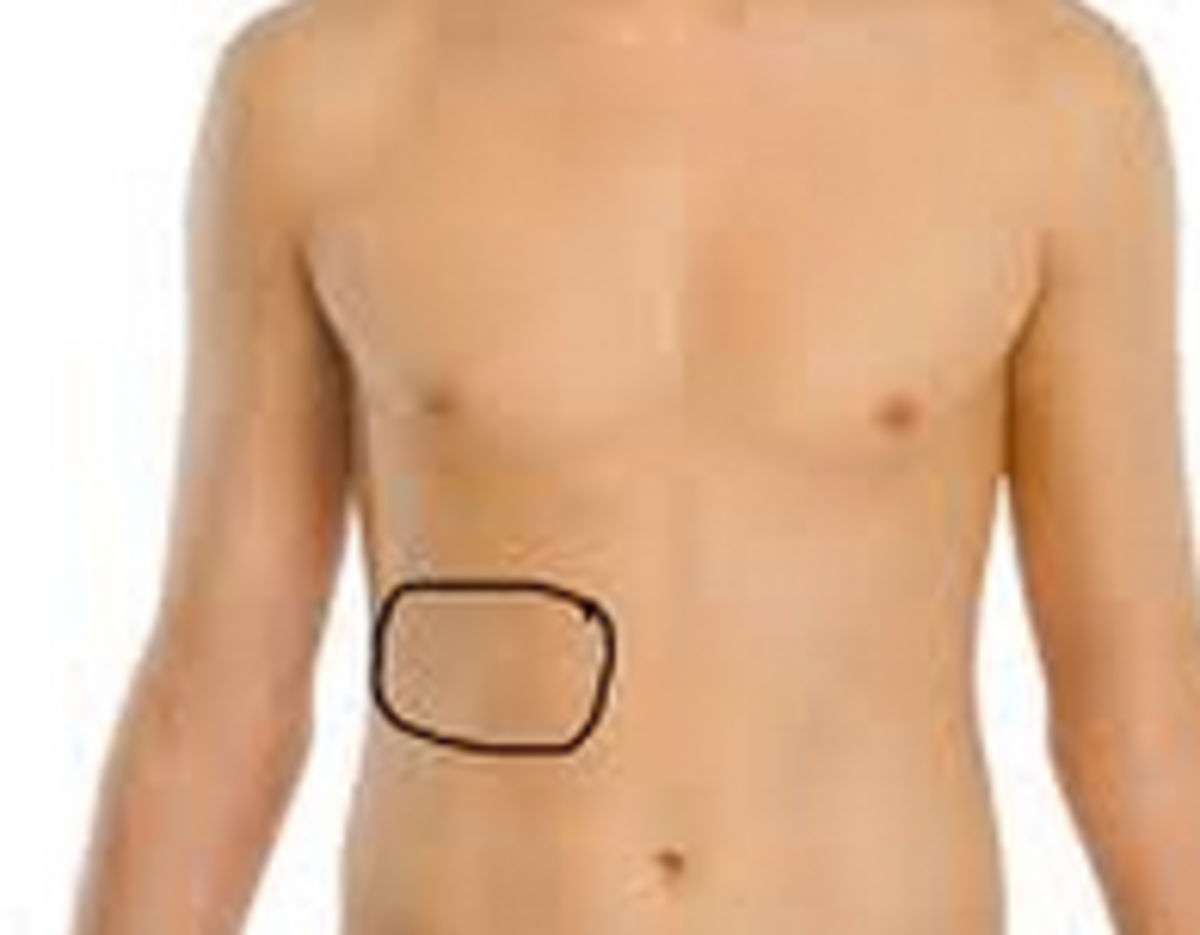 What Is Right Below Ribcage Why Do I Have Pain Under My Left Rib Cage What Is Right Below Ribcage Why Do I Have Pain Under My Left Rib Cage