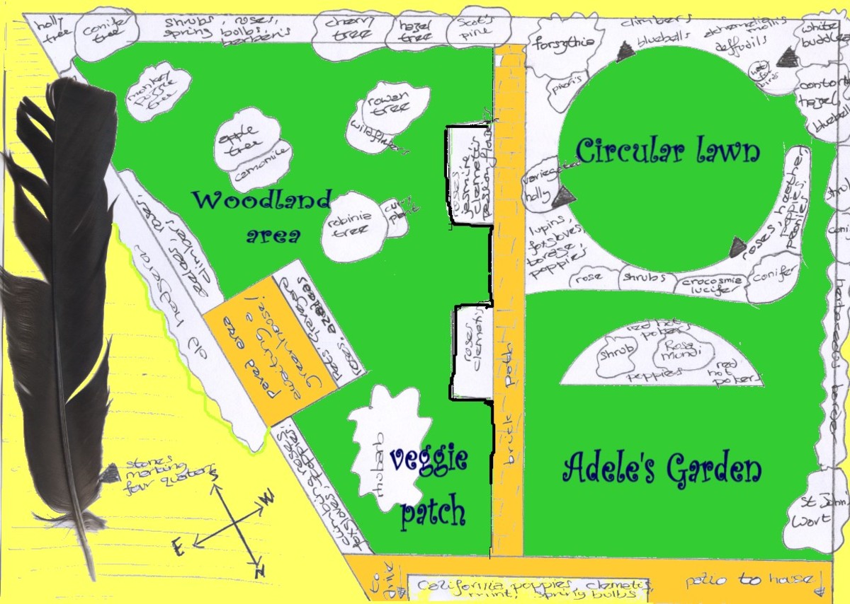 How I Created My New Garden - HubPages
