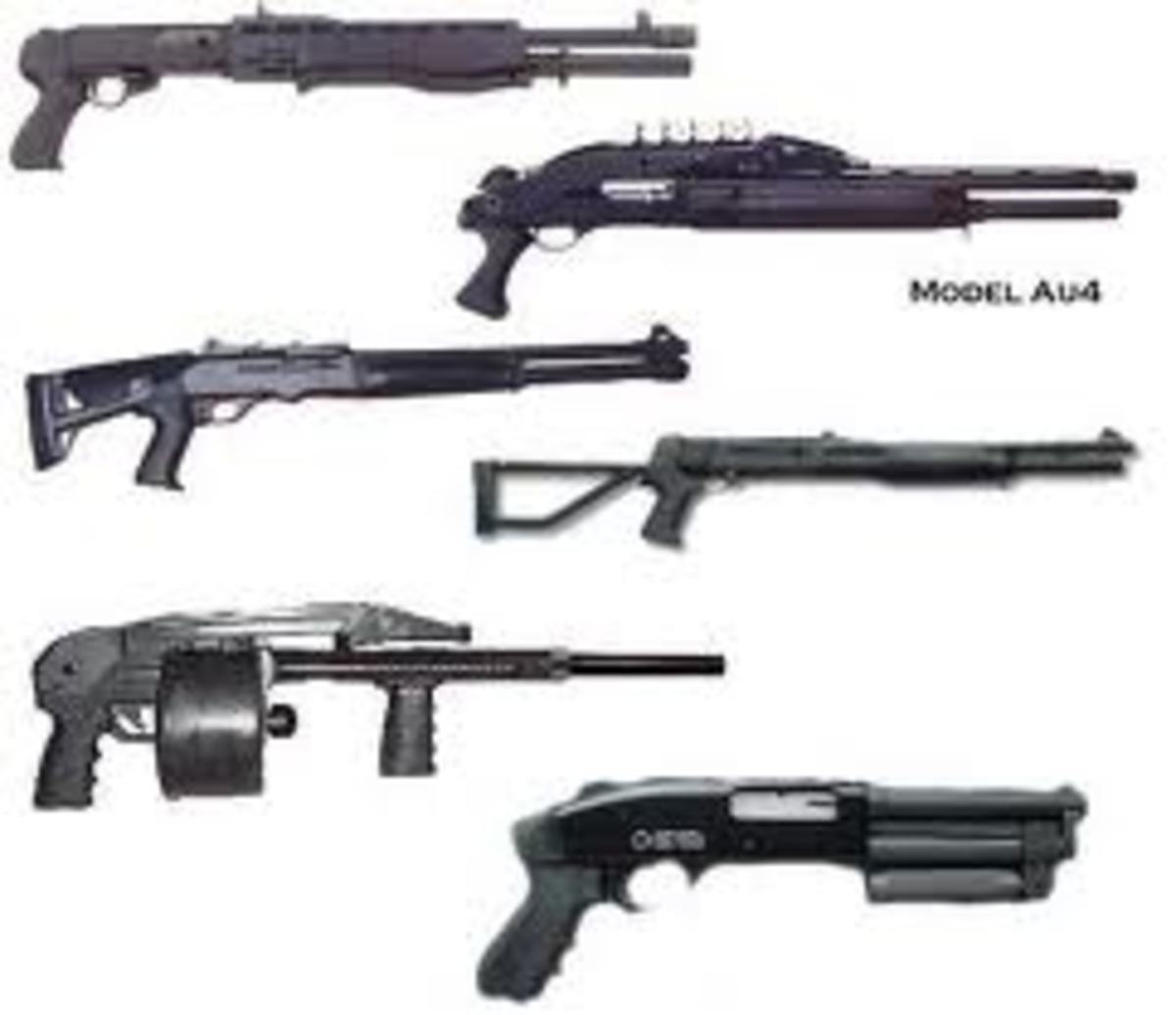 A Primer on Modern Personal Firearms: from Shotgun to Sub-Machine Gun ...