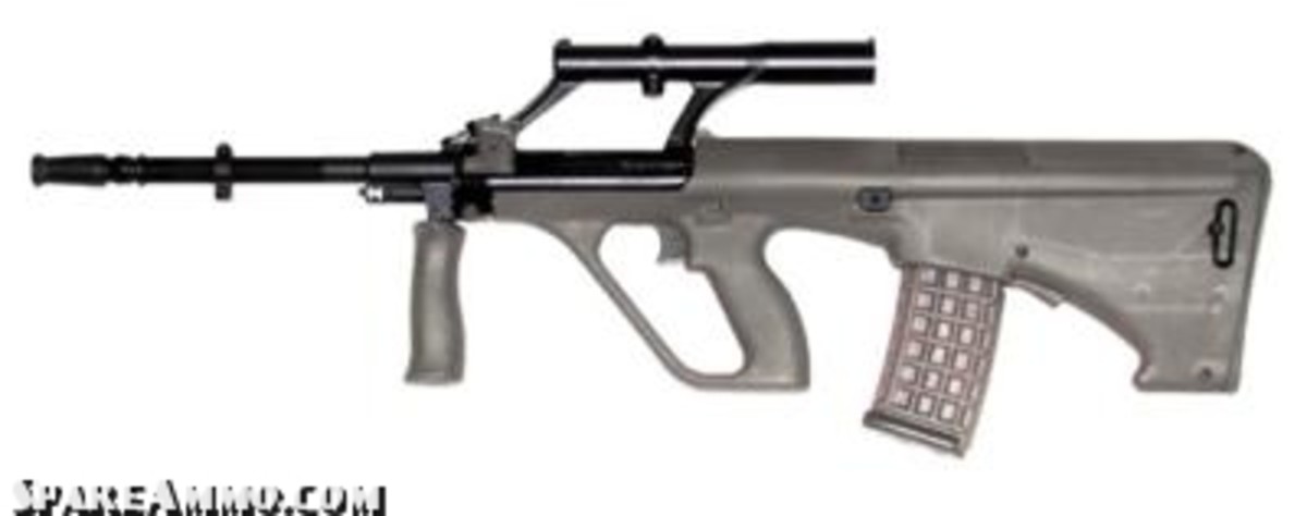 A Primer on Modern Personal Firearms: from Shotgun to Sub-Machine Gun ...