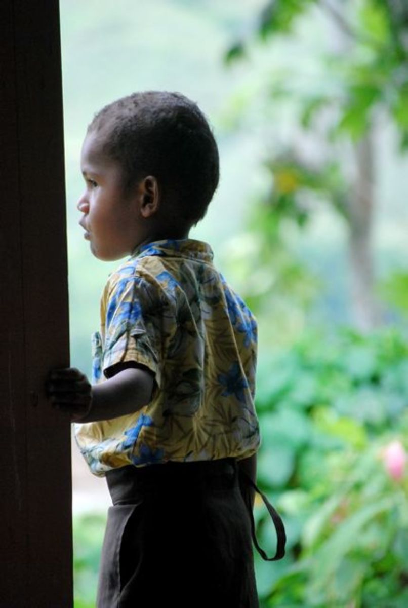 The Fiji Islands: Visiting the South Pacific - HubPages