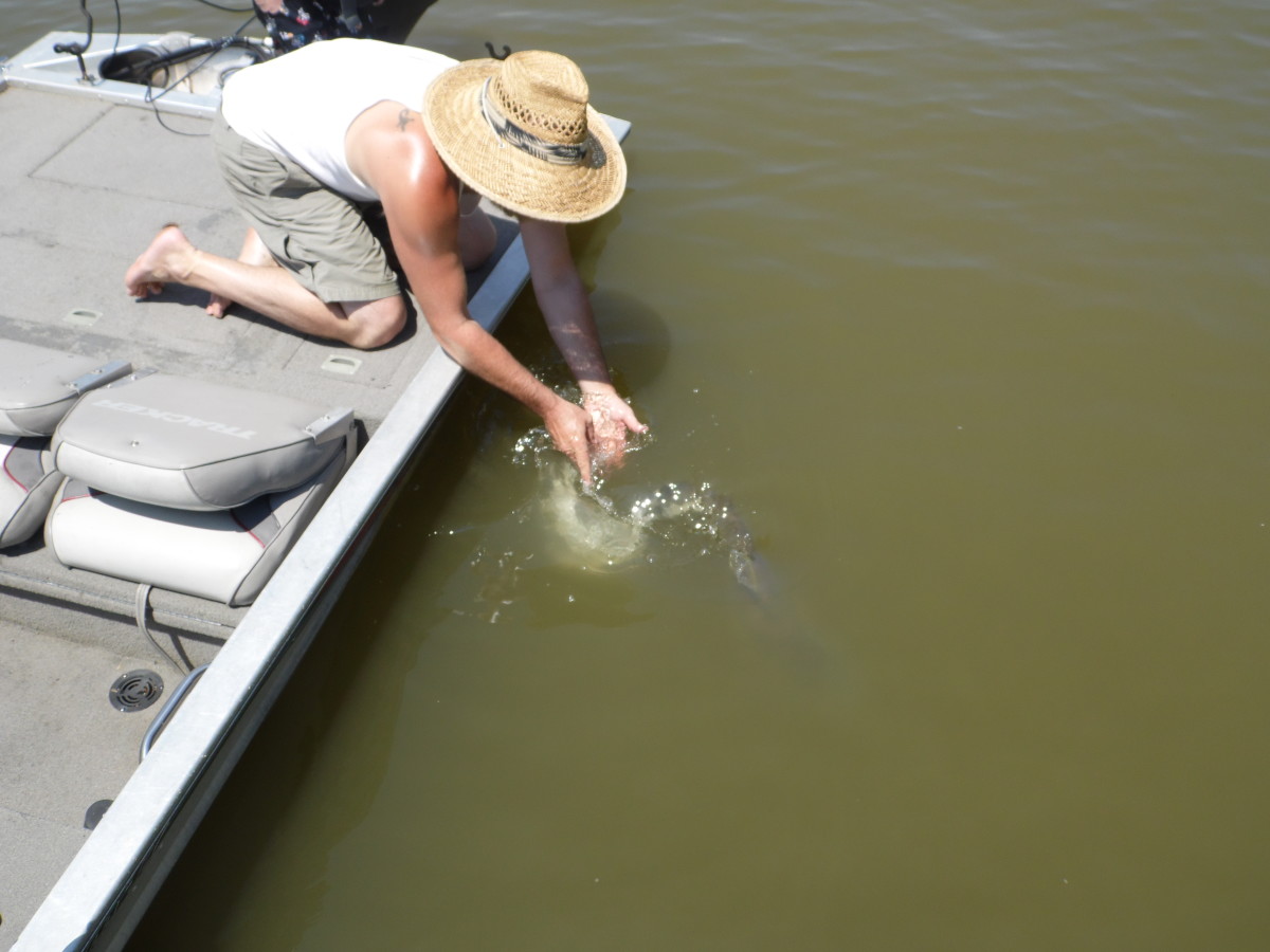 Secrets to Catching Huge Catfish - HubPages