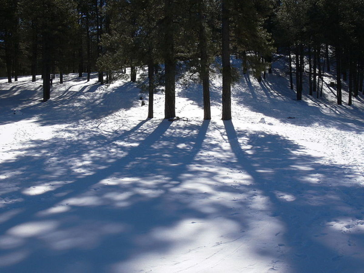 Fun Winter Activities In Flagstaff, Arizona - HubPages