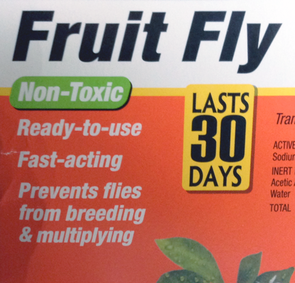 The Trials and Tribulations of Having a Pac-Man Frog: Dealing with ...