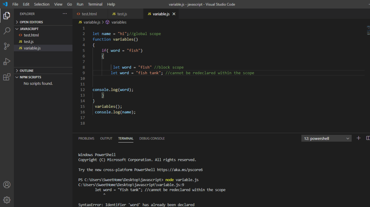 Javascript - Variables and Scope - HubPages