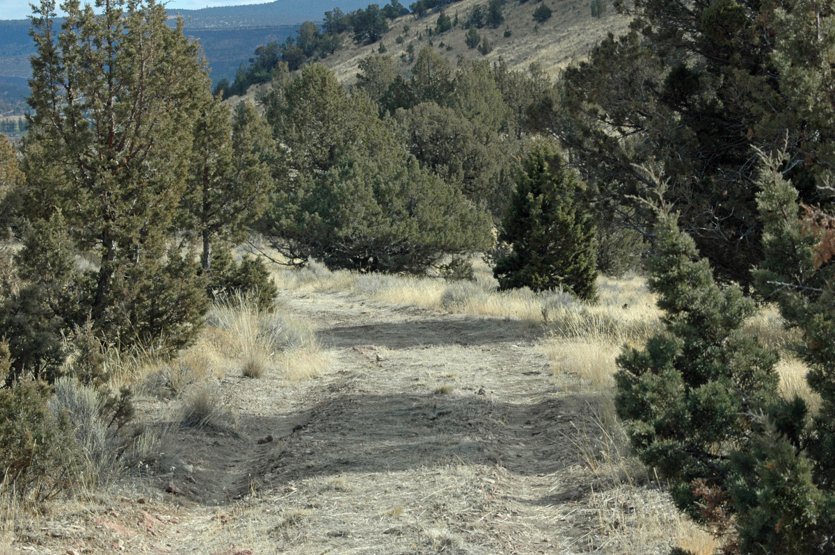 Barnes Butte IronHorse Trail Prineville Oregon - HubPages