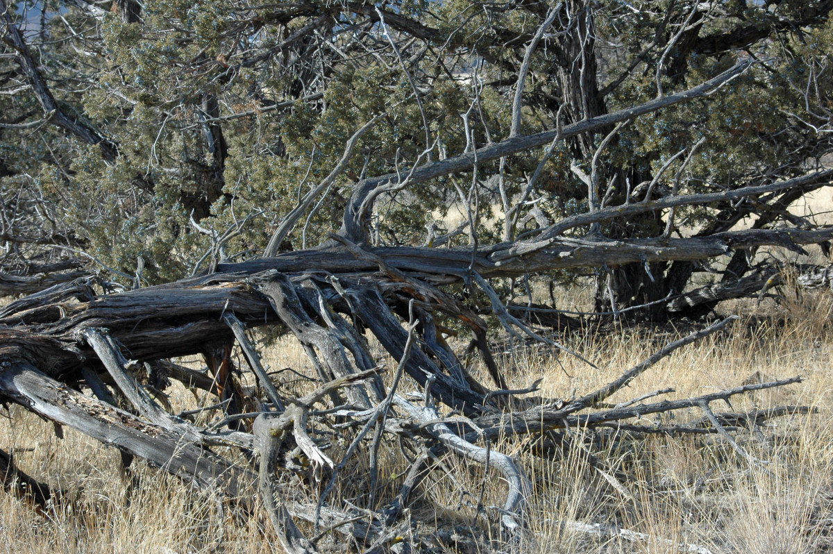 Barnes Butte IronHorse Trail Prineville Oregon - HubPages