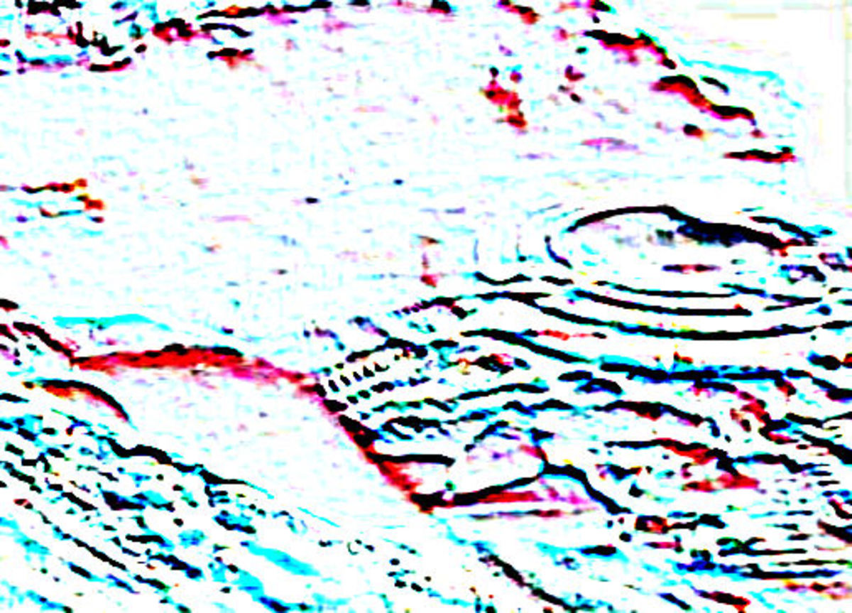 Baltic Sea Anomaly Details: Is it a UFO or Hoax [video] - HubPages