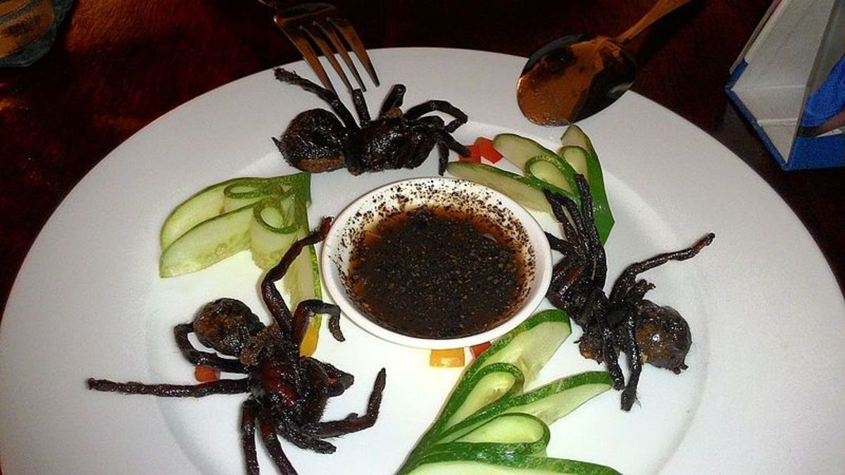 Strange Meals and Exotic Foods From Countries All Over the World - HubPages