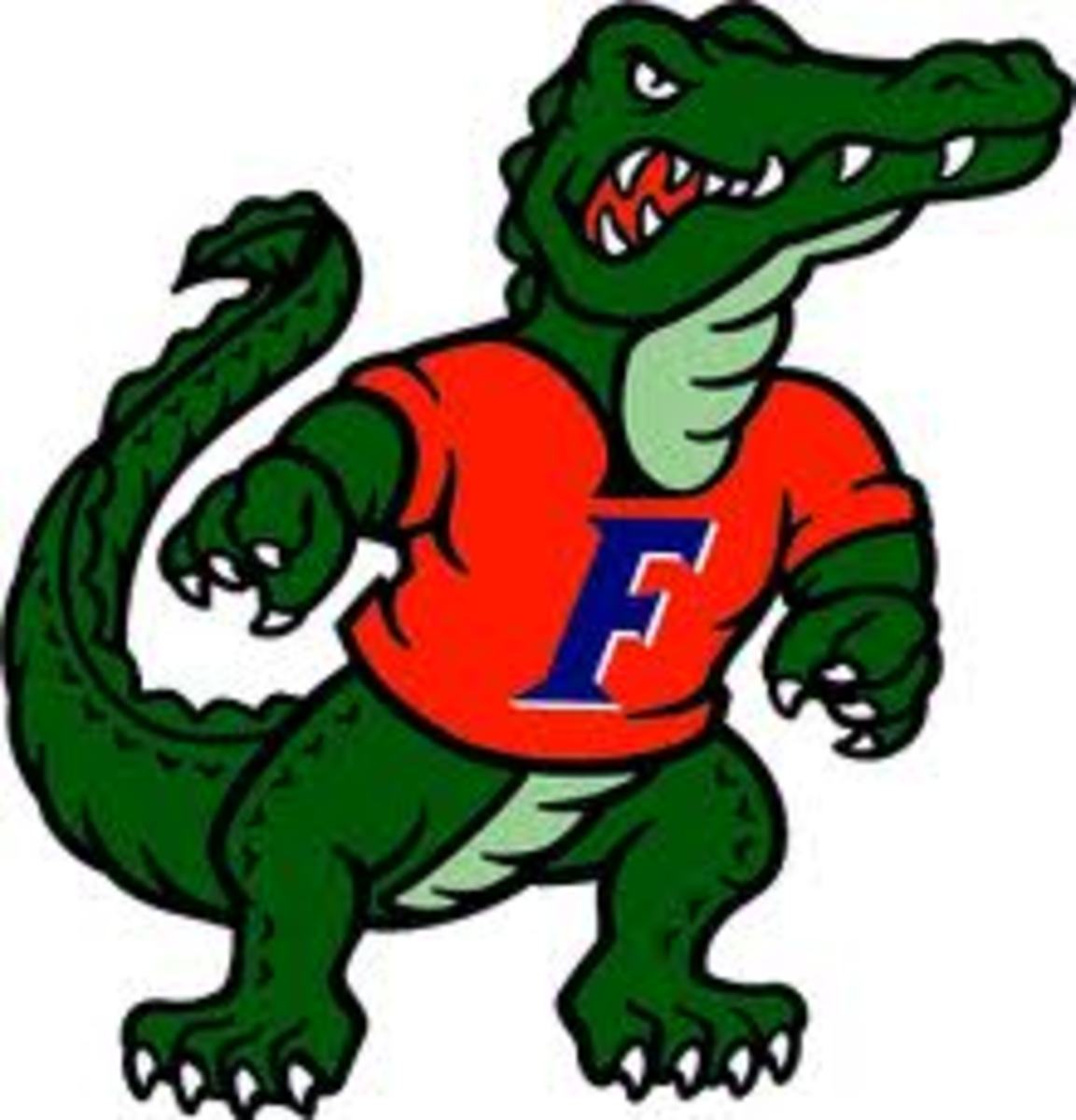 Interview with Alligator – Differences between Alligators and ...