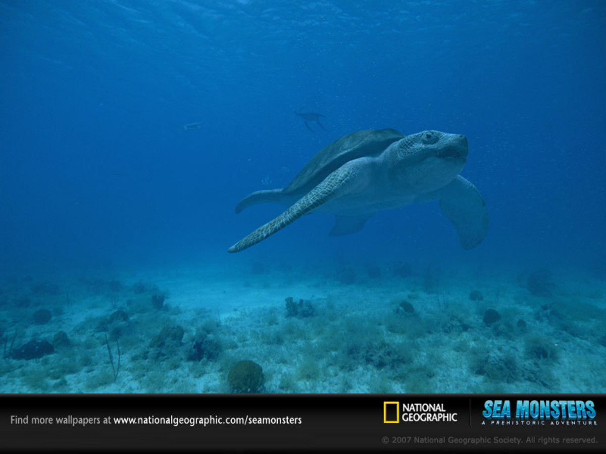 North America’s Inland Sea - HubPages