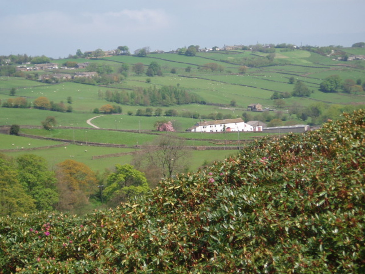 Bronte Land, Ilkley Moors, Rombalds Moor, with Traditional Songs and ...