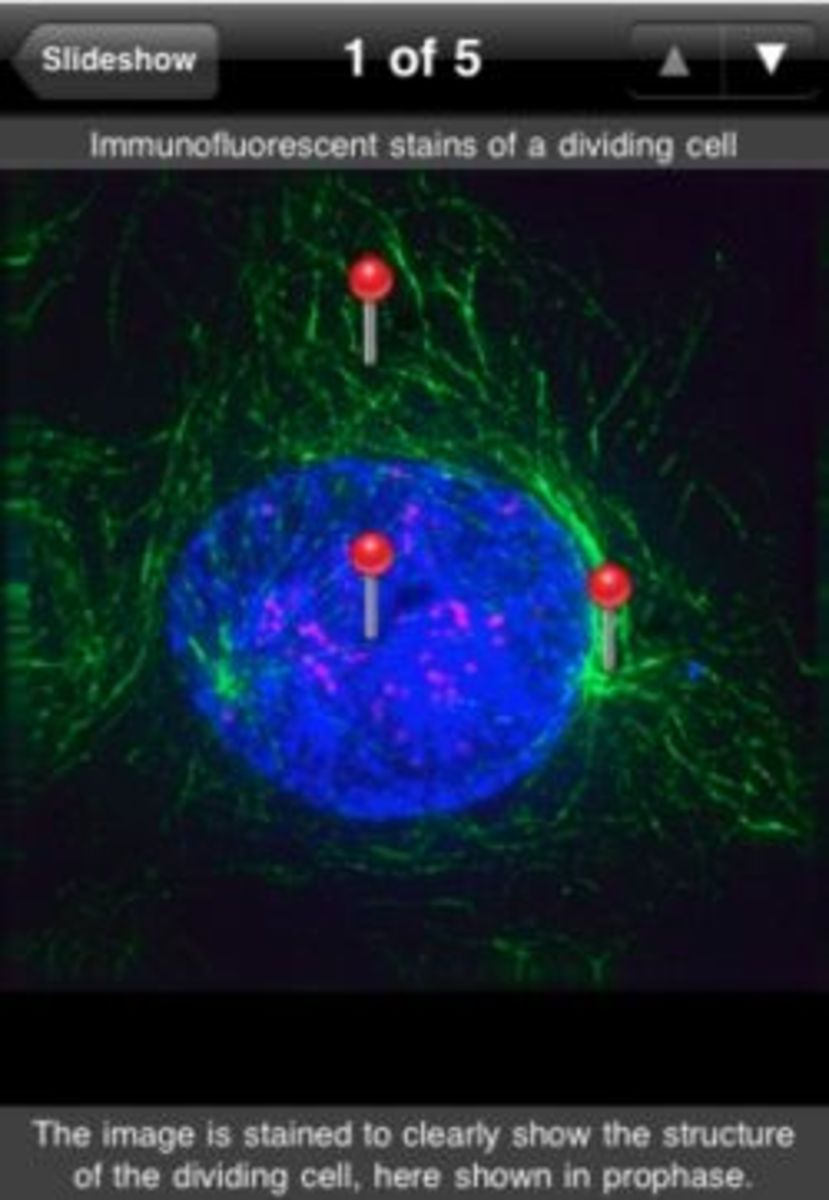 19 Free Science Apps for Students and Kids - HubPages