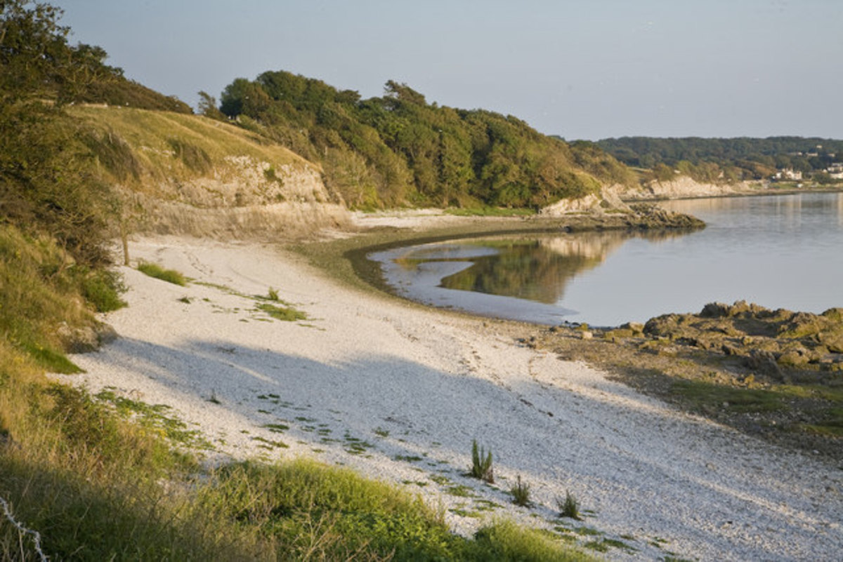 Viking - 27: The Silverdale Hoard - Chance Discovery in North-Western ...