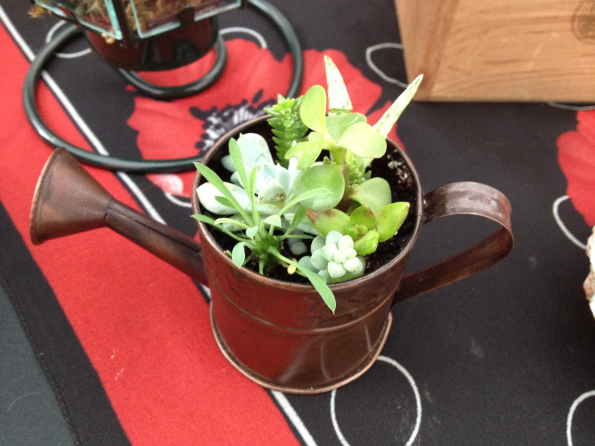 50 Recycled Container Gardening Ideas - HubPages