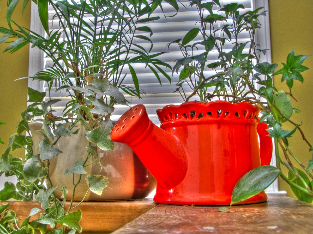 50 Recycled Container Gardening Ideas - HubPages