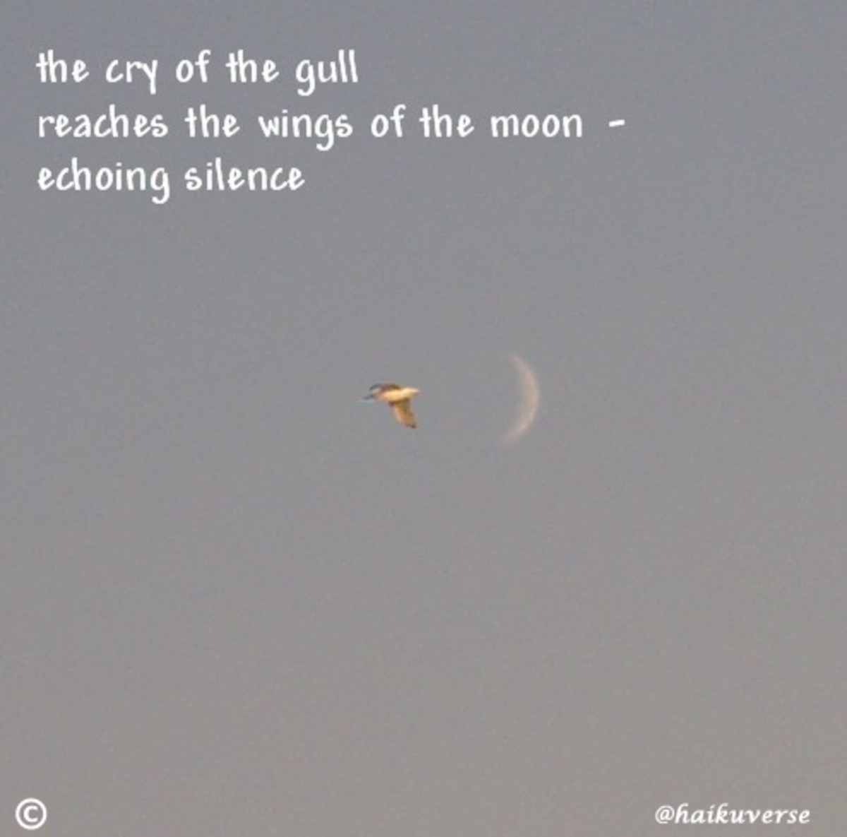 What is a Haiga? - HubPages