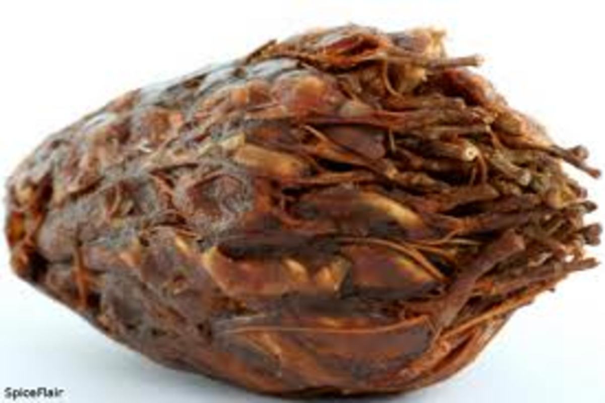 Health Benefits of Tropical Fruits; Tamarind and Papaya - HubPages