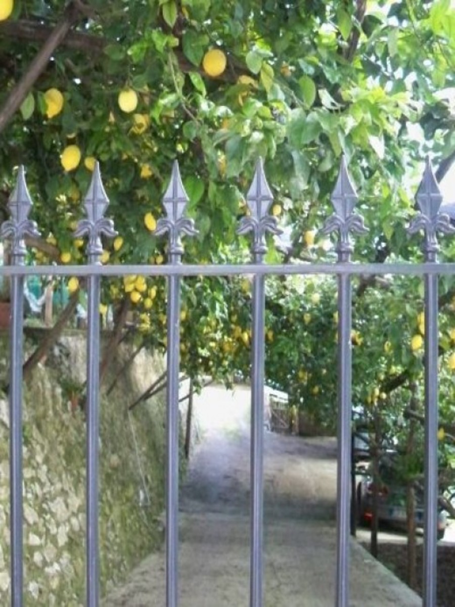 Lemons Galore and Limoncello on Italy’s Amalfi Coast - HubPages