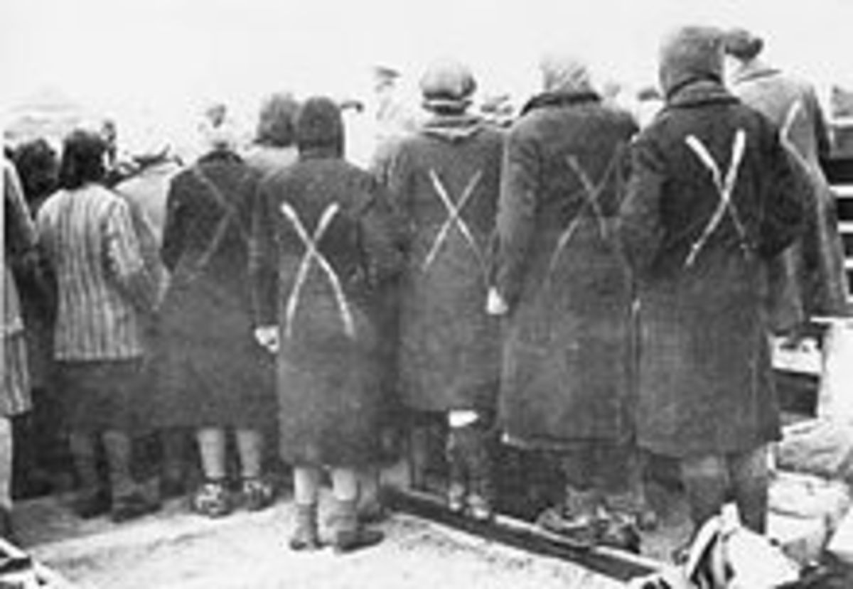 Ravensbruck Medical Experiments - HubPages