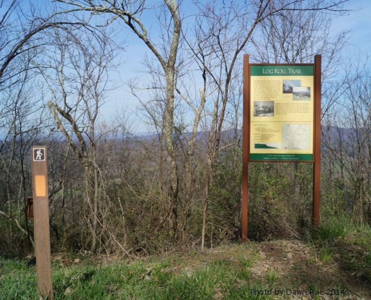 Primitive Camping in Green Ridge State Forest - HubPages