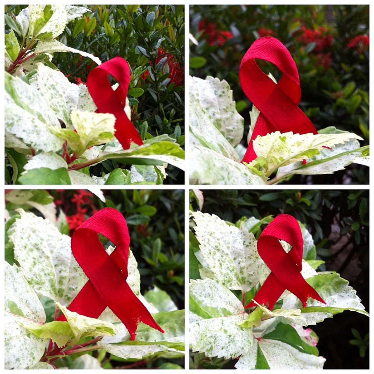 The Story of a Red Ribbon - HubPages