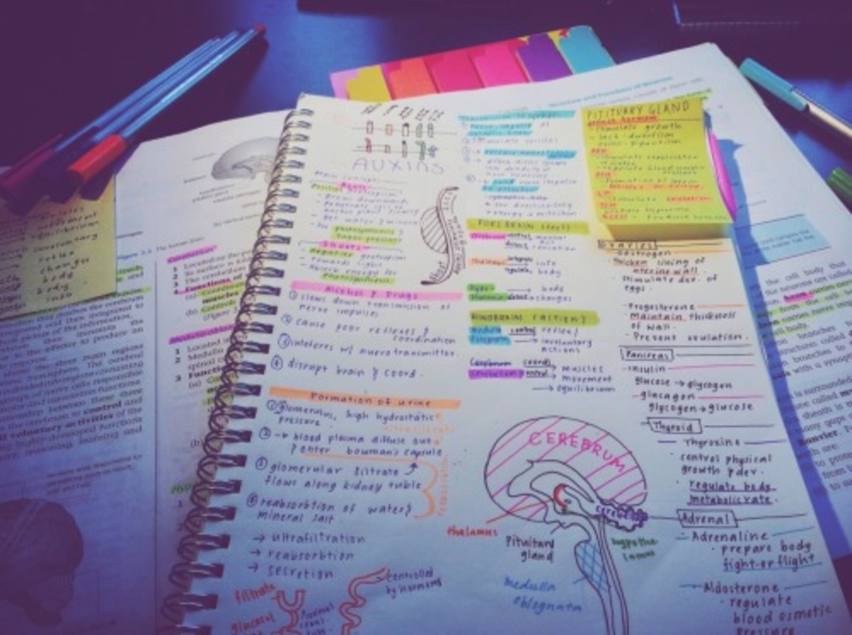 7 Great Study Tips - HubPages