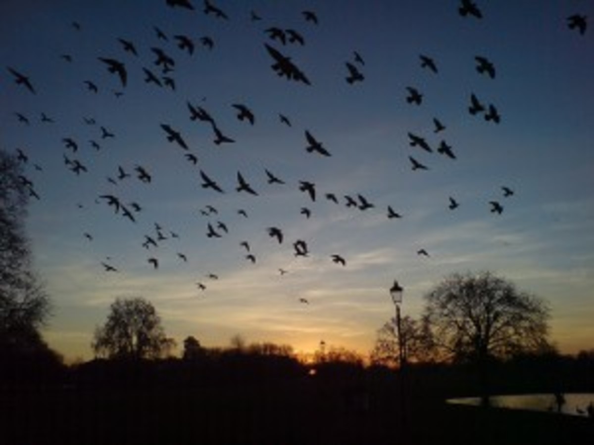 Seasons and Cycles in Irish Mythology - HubPages