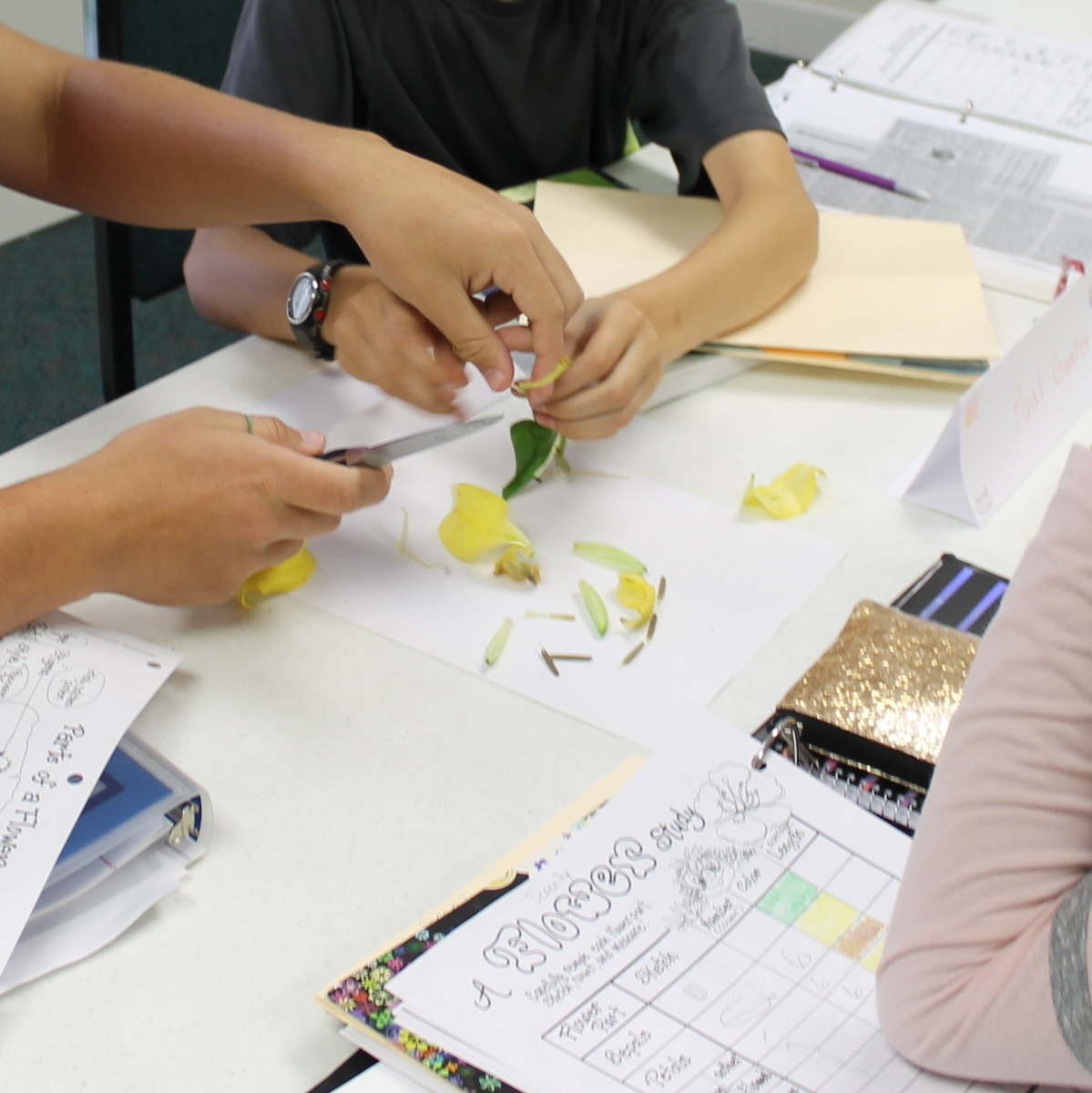 Parts of a Flower Lesson Plan - HubPages