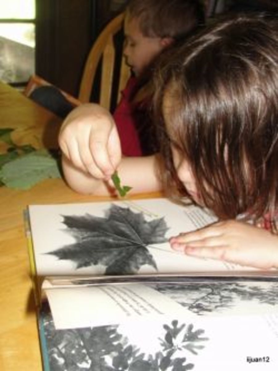 CC Cycle 1 Week 10 Lesson for Abecedarian Tutors - HubPages