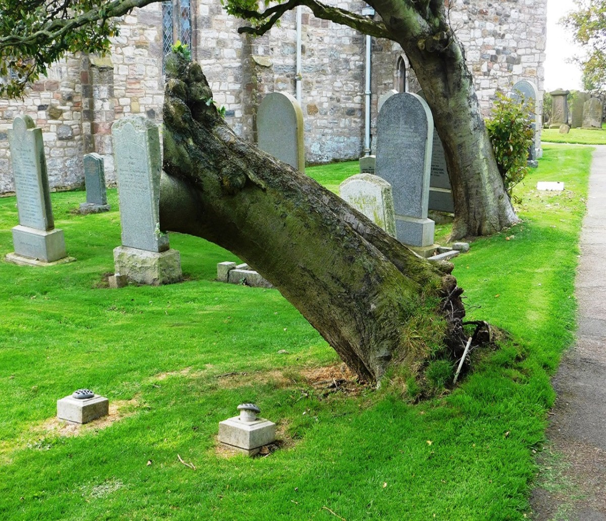 The History of English Cemeteries and Gravestones - HubPages