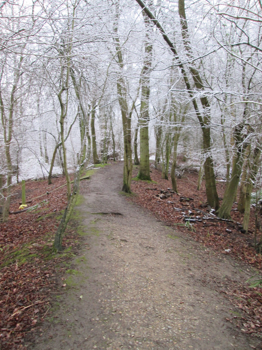 Heritage - 54: Fresh Trails (on Well Worn Tracks) - HubPages