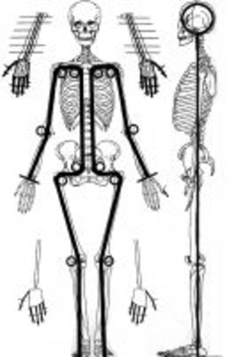 Introduction to Sculpting in Polymer Clay - HubPages