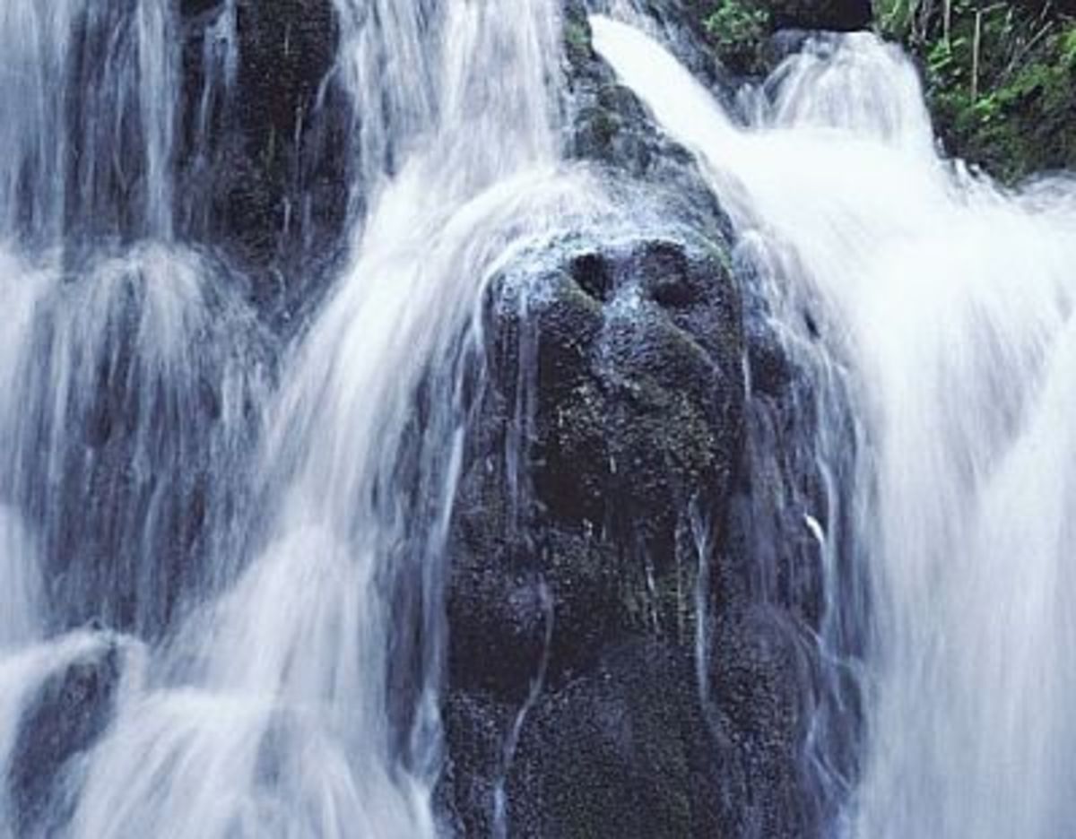 The Secret Life of Trolls - HubPages