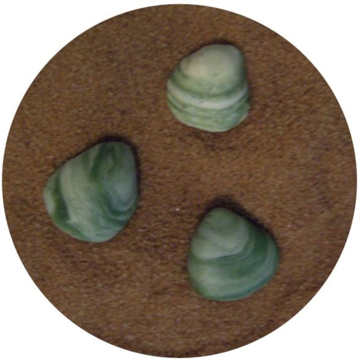 How to Make Fondant Seashells Without a Mold - HubPages