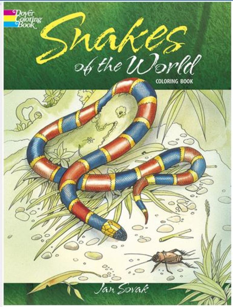 Reptiles & Amphibians Coloring Pages - HubPages