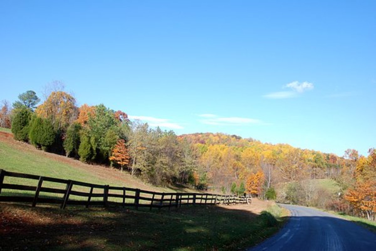 Autumn Colors in Forest Virginia and Thomas Jefferson's Poplar Forest ...