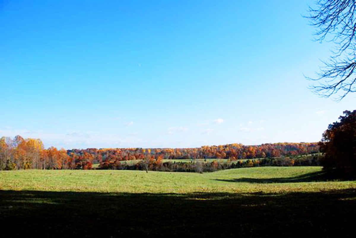 Autumn Colors in Forest Virginia and Thomas Jefferson's Poplar Forest ...