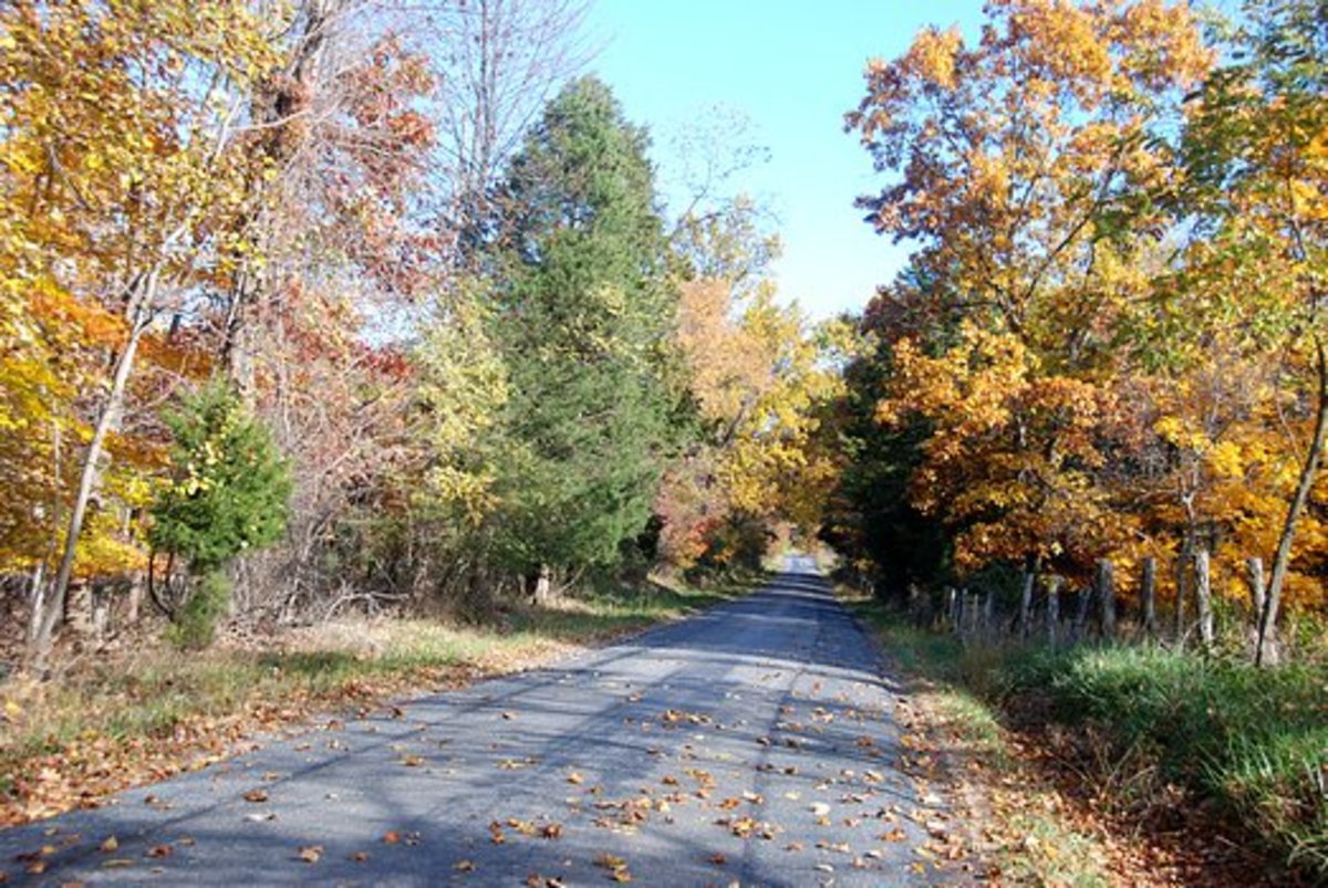 Autumn Colors in Forest Virginia and Thomas Jefferson's Poplar Forest ...