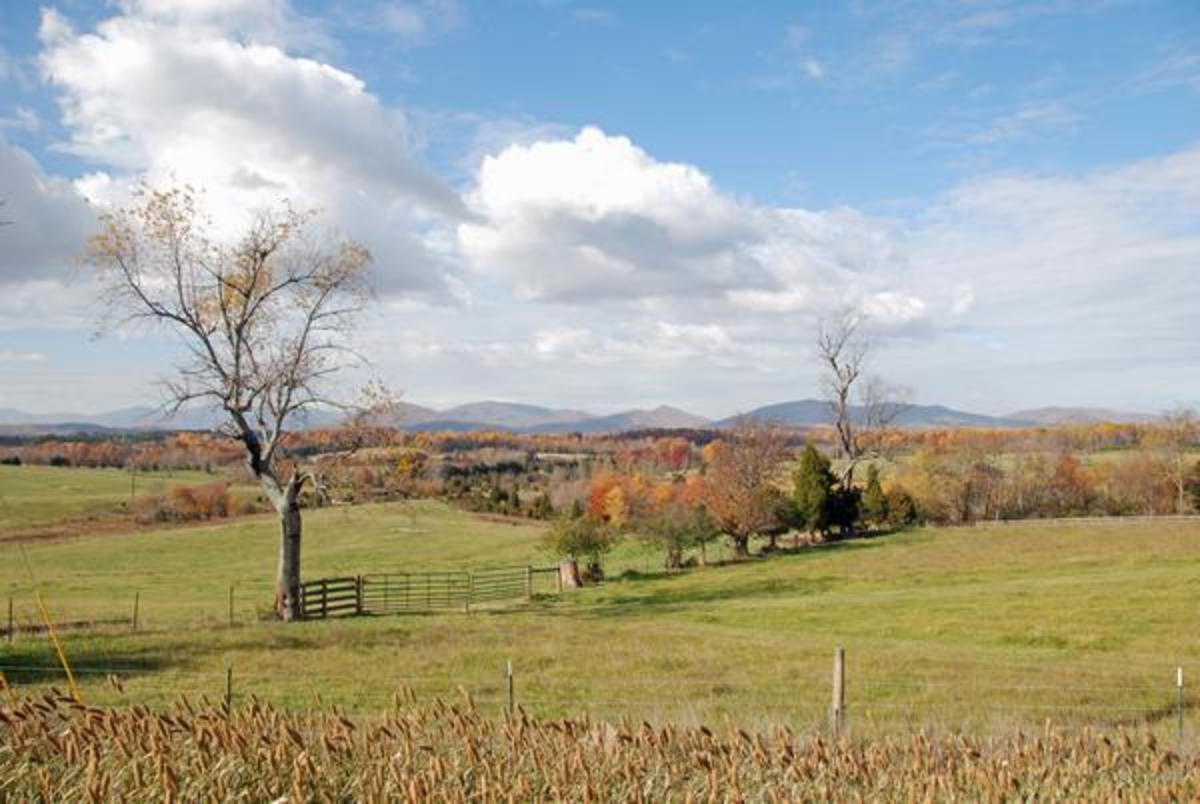 Autumn Colors in Forest Virginia and Thomas Jefferson's Poplar Forest ...