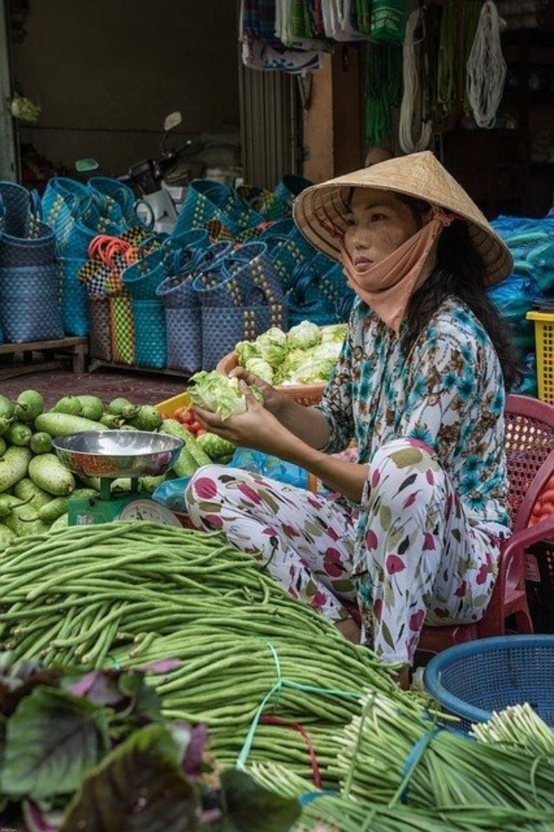 Vietnam's Overlooked Economic Resilience - HubPages